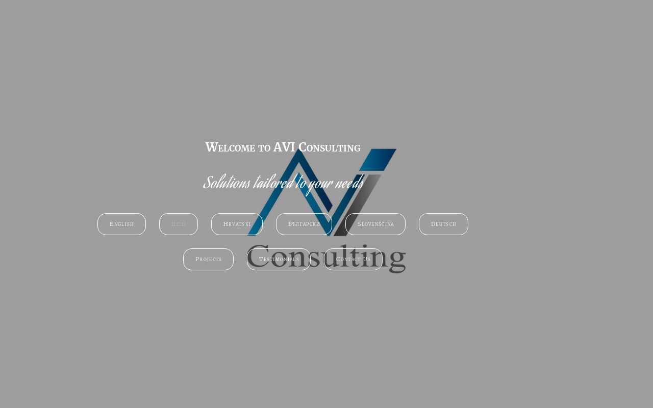 AVI Consulting
